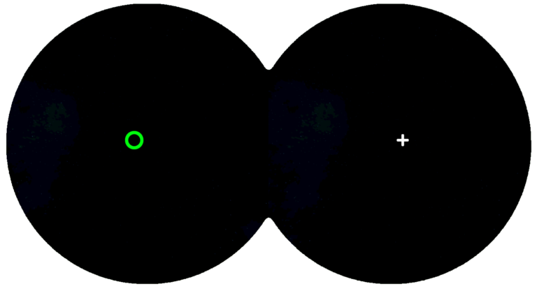 Optics Trainer VR - VR for Amblyopia, Strabismus, and CI